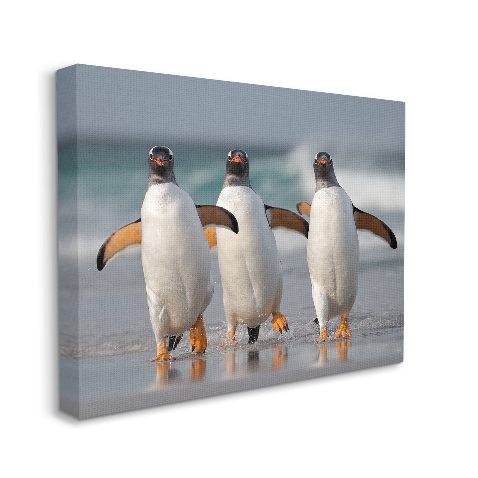 Highland Dunes Penguin Trio On Beach by Joshua Galicki | Wayfair