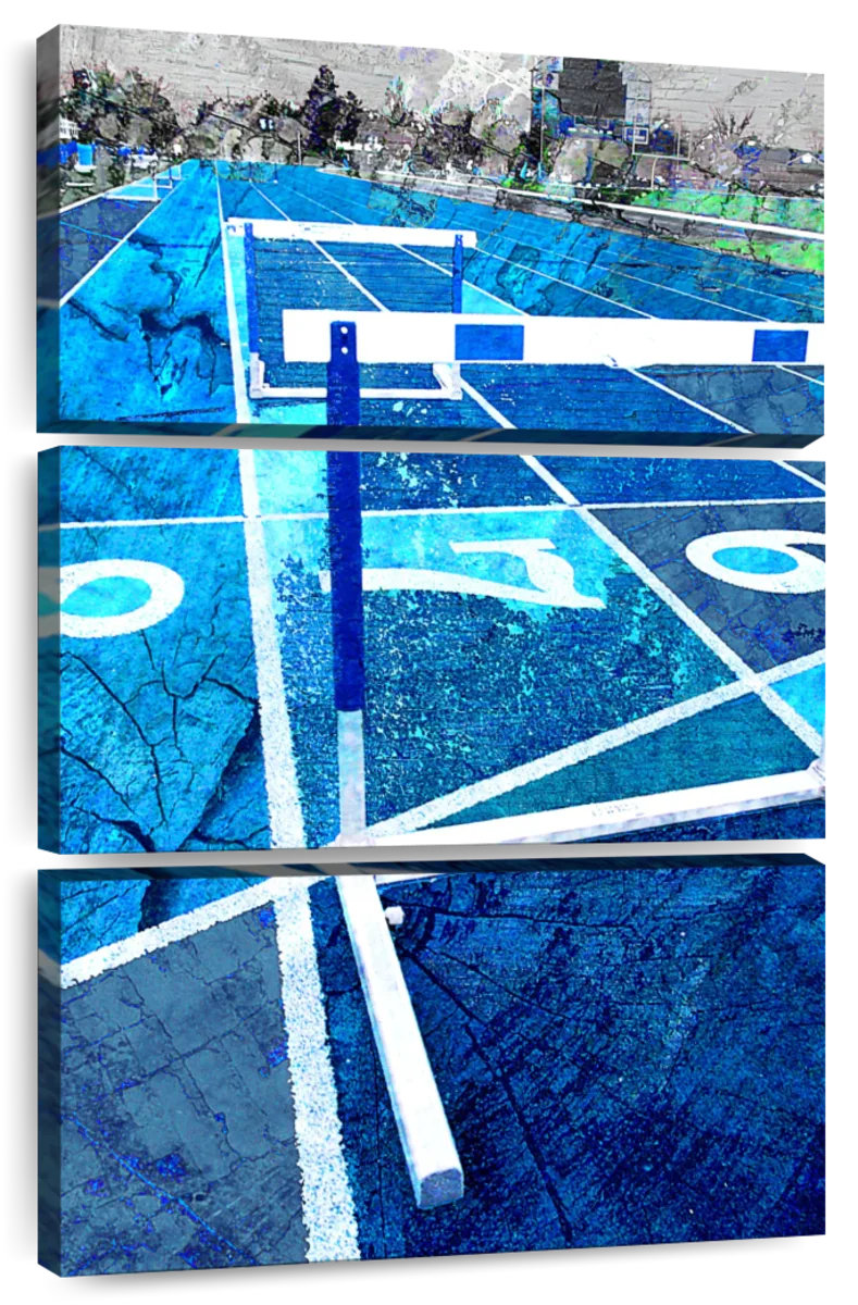 Ebern Designs Sireci Track and Field Blue Splash | Wayfair