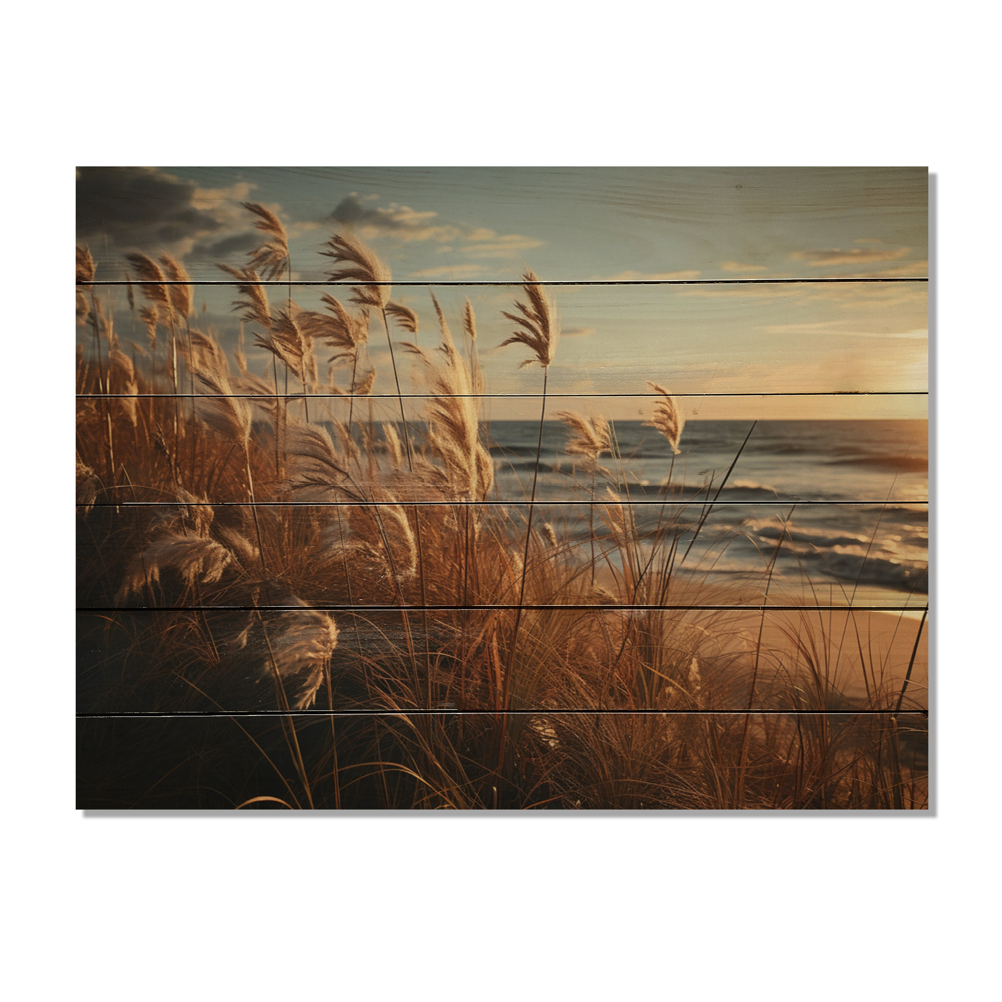 Dovecove Ghonge Beach Grass Sunkissed Sands I On Wood Print - Wayfair ...