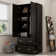 Wildon Home® Arnettie Armoire & Reviews | Wayfair