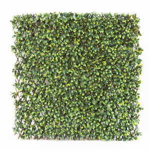 Primrue Parkridge Single Side Expandable Faux Artificial Hedge Gardenia ...