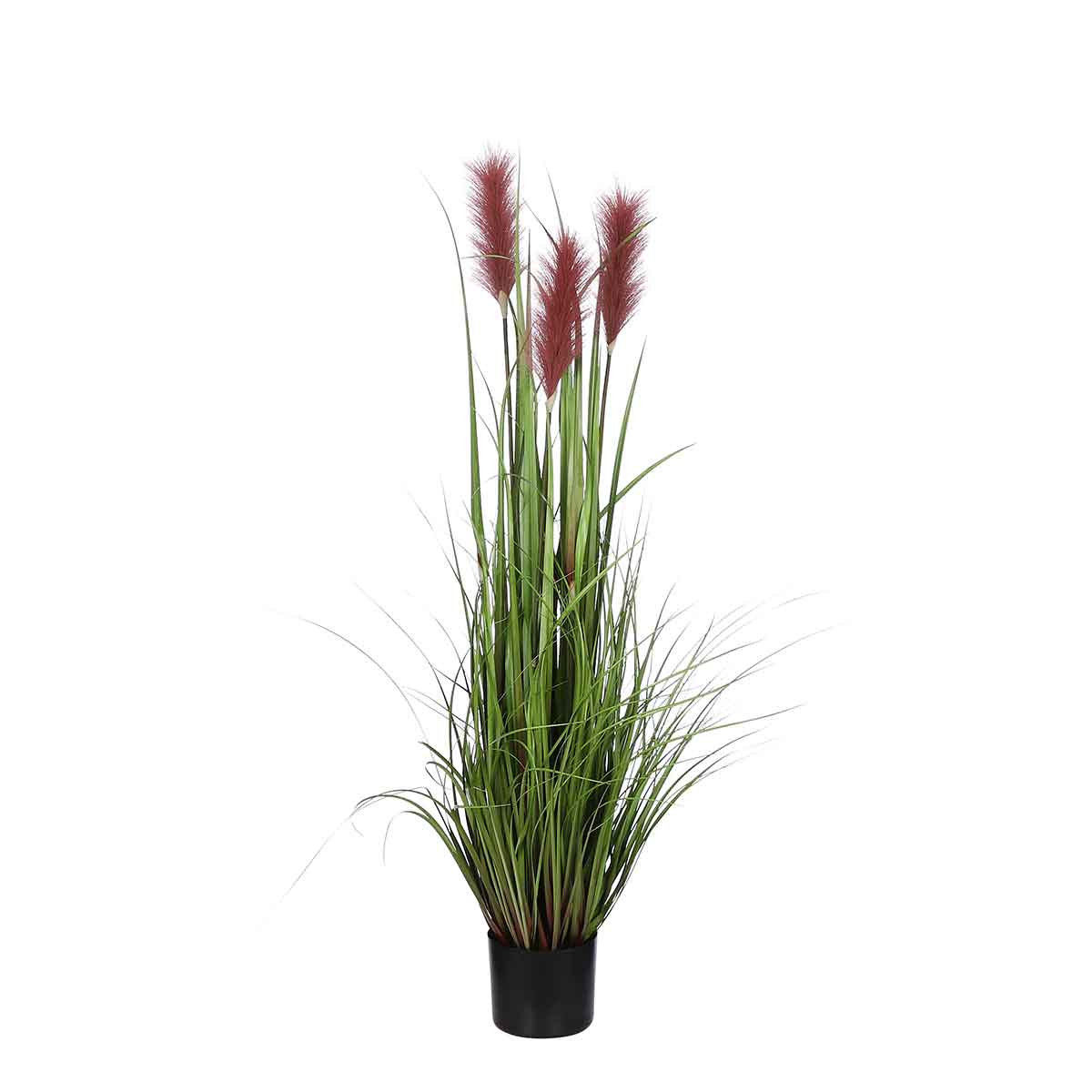 The Seasonal Aisle Artificial Ficus Grass in Pot | Wayfair.co.uk