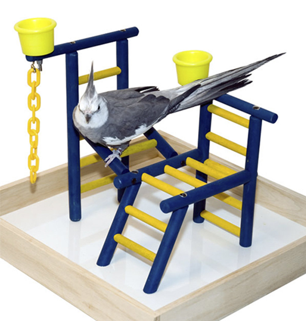 Featherland/Paradise 12'' Wood Bird Play Gym for Table Top | Wayfair
