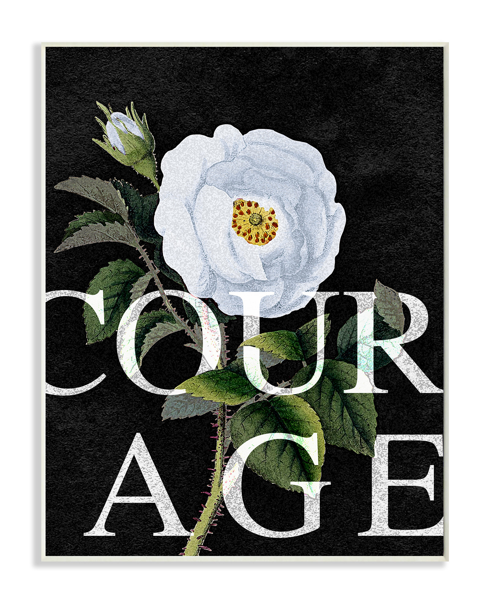 House of Hampton® Courage Text over Vintage White Rose Floral by Daphne ...