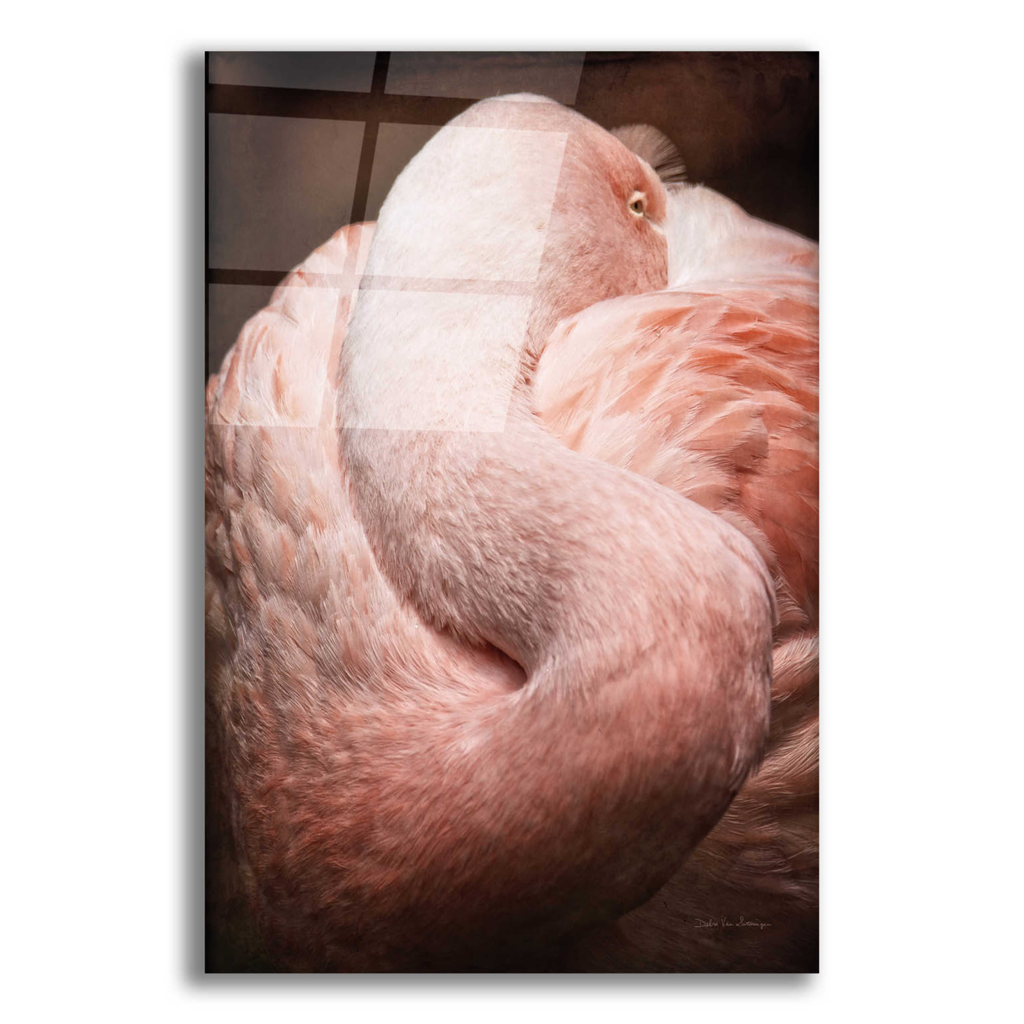 Bay Isle Home™® ''Chilean Flamingo I'' By Debra Van Swearingen, Acrylic ...