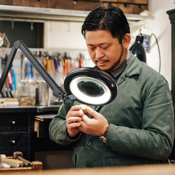 Brightech Lightview Pro 33 in. Adjustable Swing Arm Integrated 2.25X ...