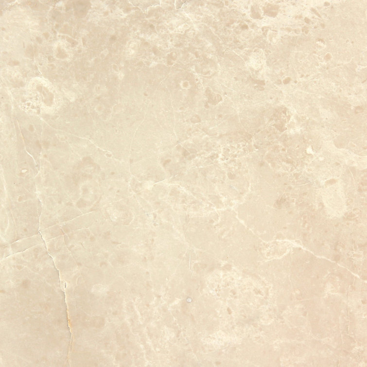 Stone & Tile Shoppe, Inc. 12" x 12" Marble Marble Look Wall & Floor ...