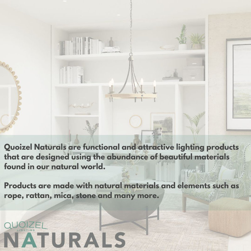 World Menagerie Bashir 3 - Light Pendant & Reviews | Wayfair