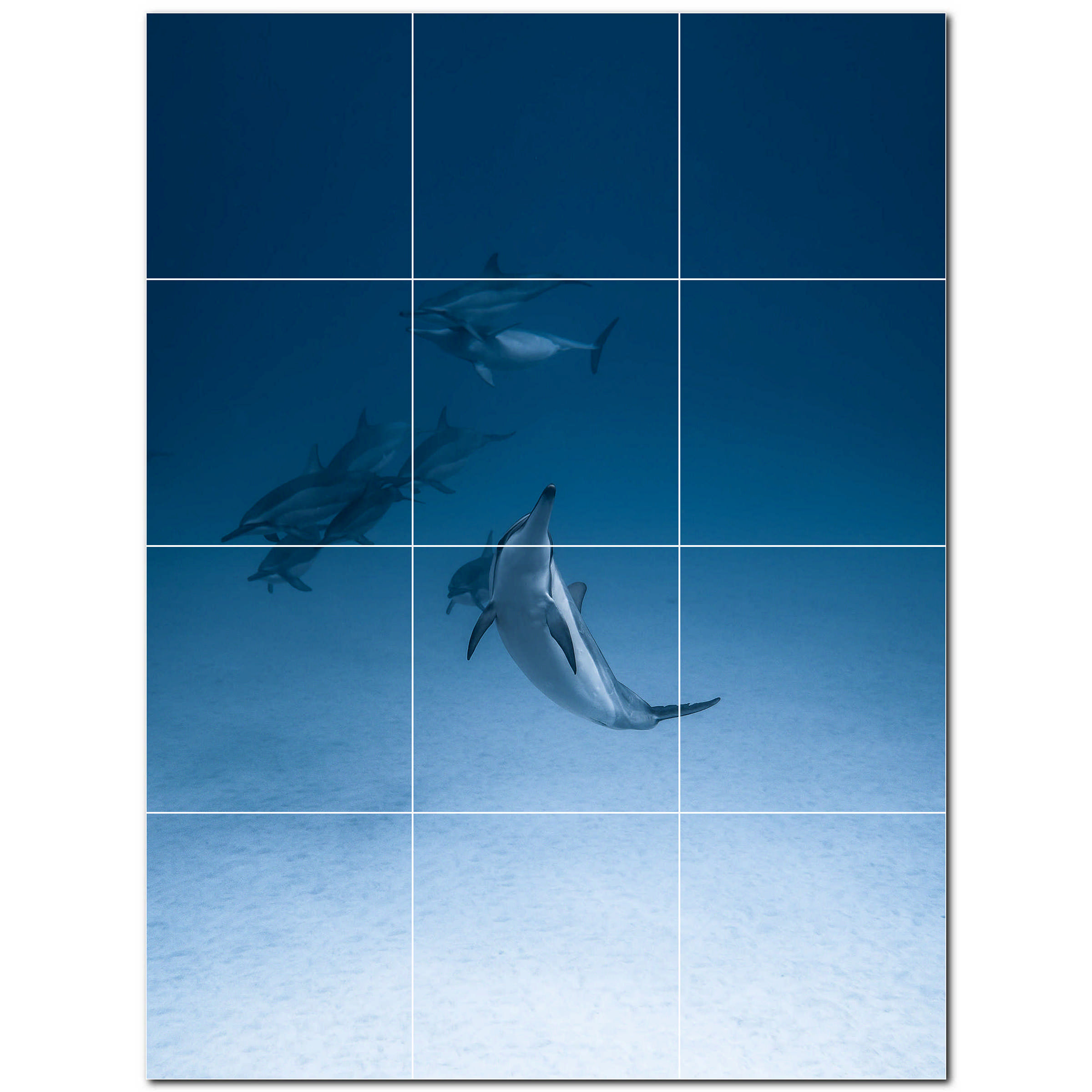 Picture-Tiles.com 12'' x 12'' Satin Ceramic Decorative Mural | Wayfair