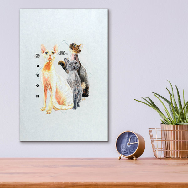 Red Barrel Studio® " Devon Rex " by Barbara Keith - Wayfair Canada