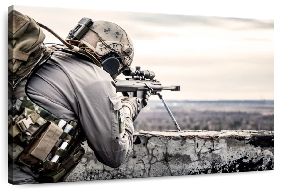 Elephant Stock US Army Sniper | Wayfair