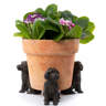 Winston Porter Leando Cockapoo Dog Bronze Coloured Planter Feet In Gift ...