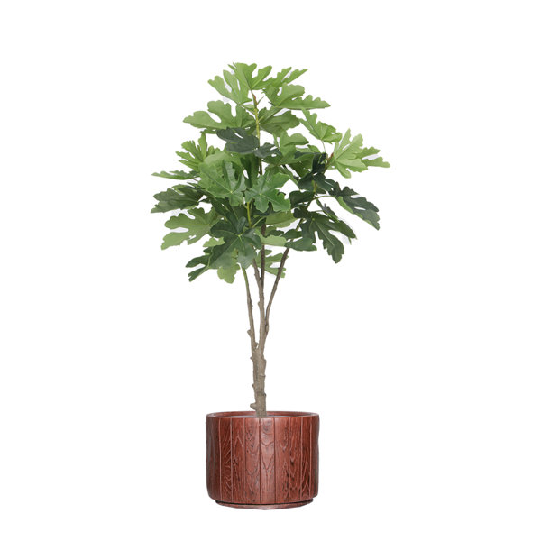 Vintage Home 64'' Faux Sycamore Tree in Pot & Reviews | Wayfair
