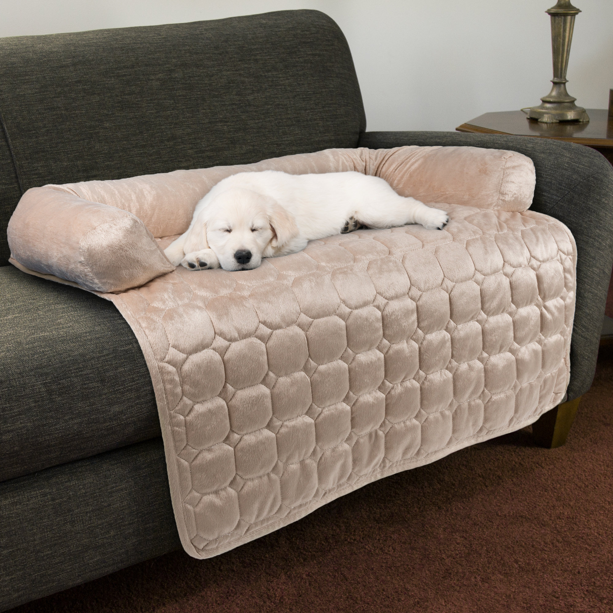 Archie & Oscar™ Delilah PETMAKER Couch Cover for Dogs - Pet Furniture ...