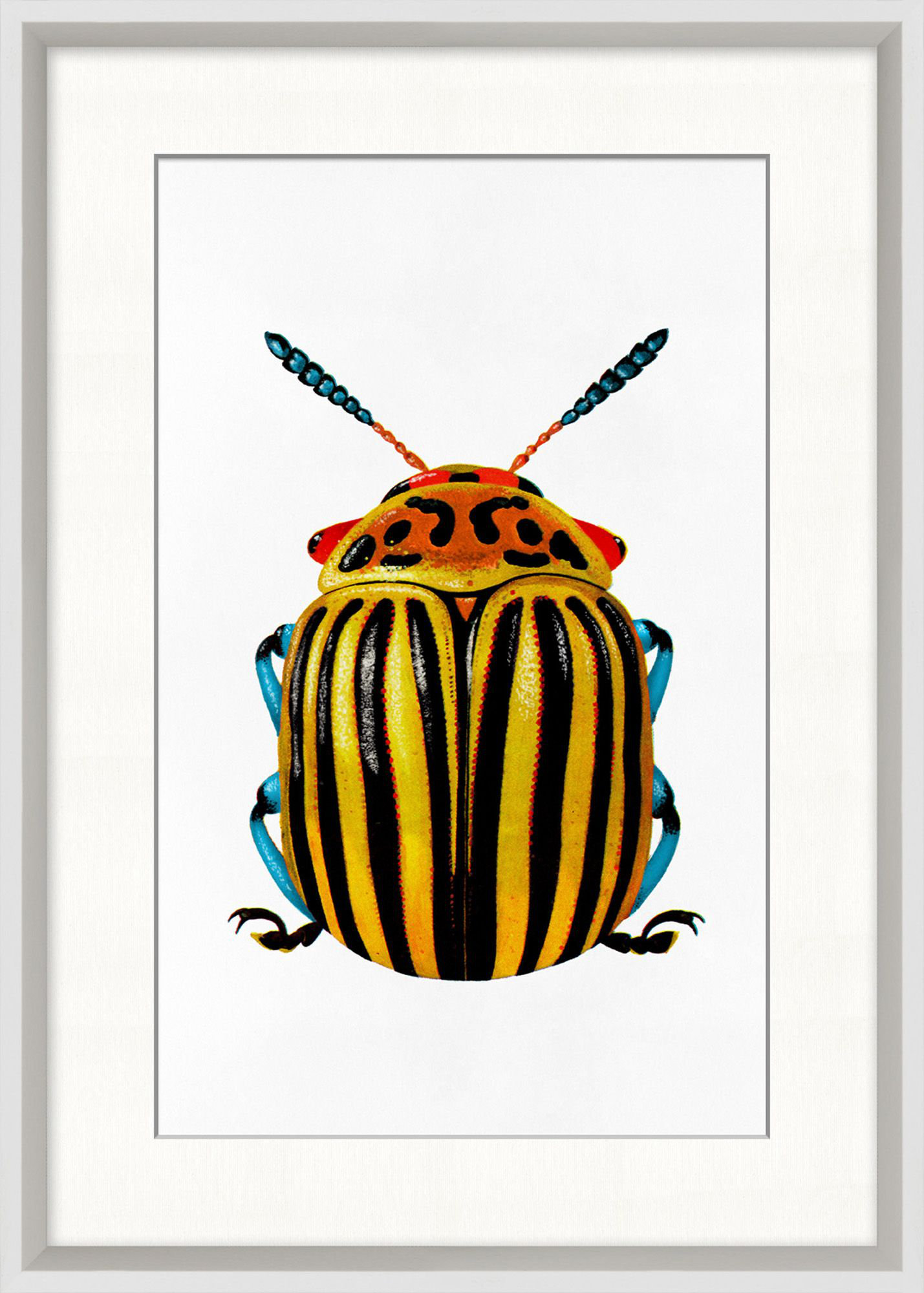 Wendover Art Group Rainbow Insect 1 - Wayfair Canada