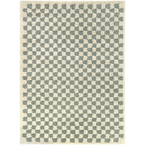 AllModern Walker Checkered Sage/Cream Shag Area Rug & Reviews | Wayfair