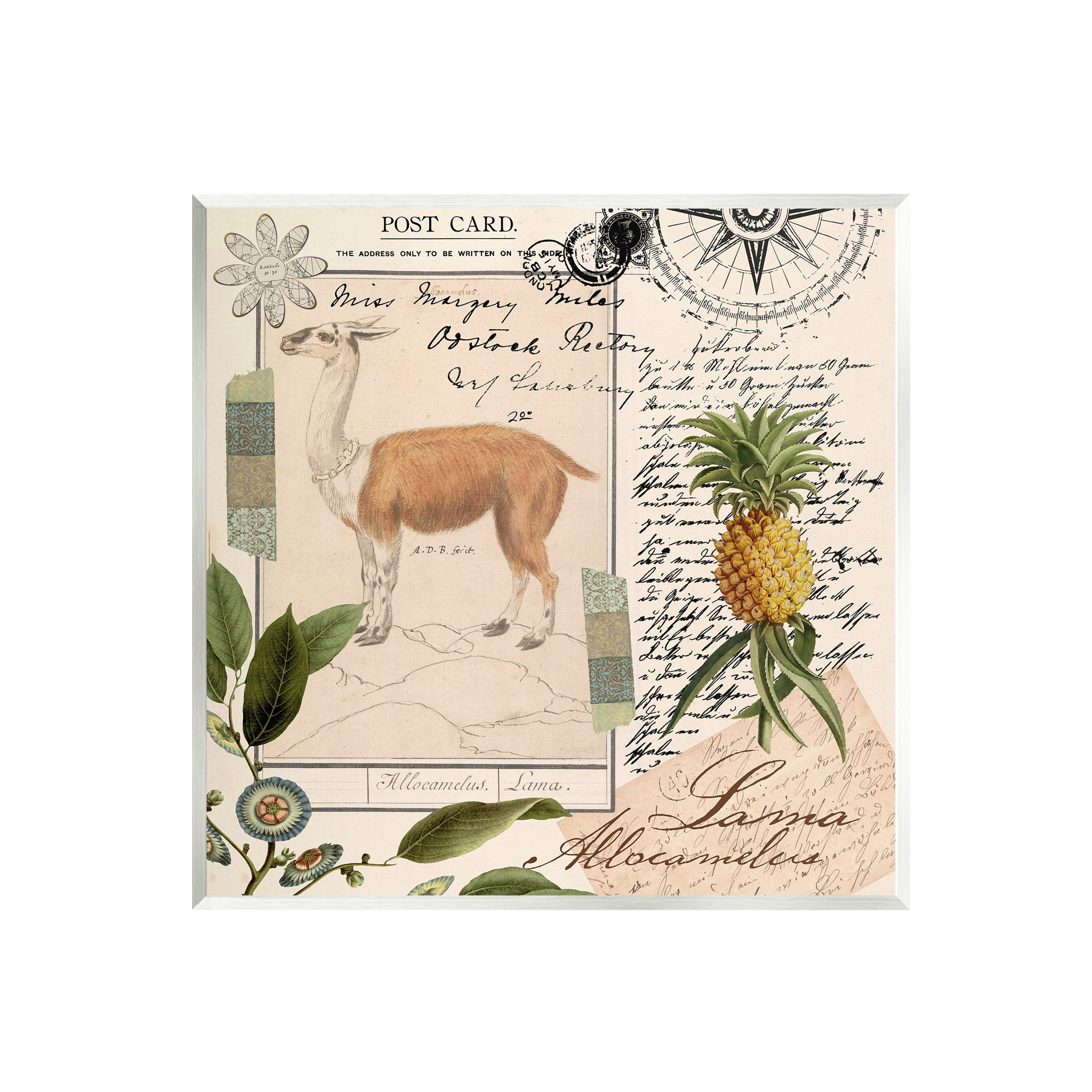 Stupell Industries Az-327-Framed Vintage Antelope Postcard Print | Wayfair