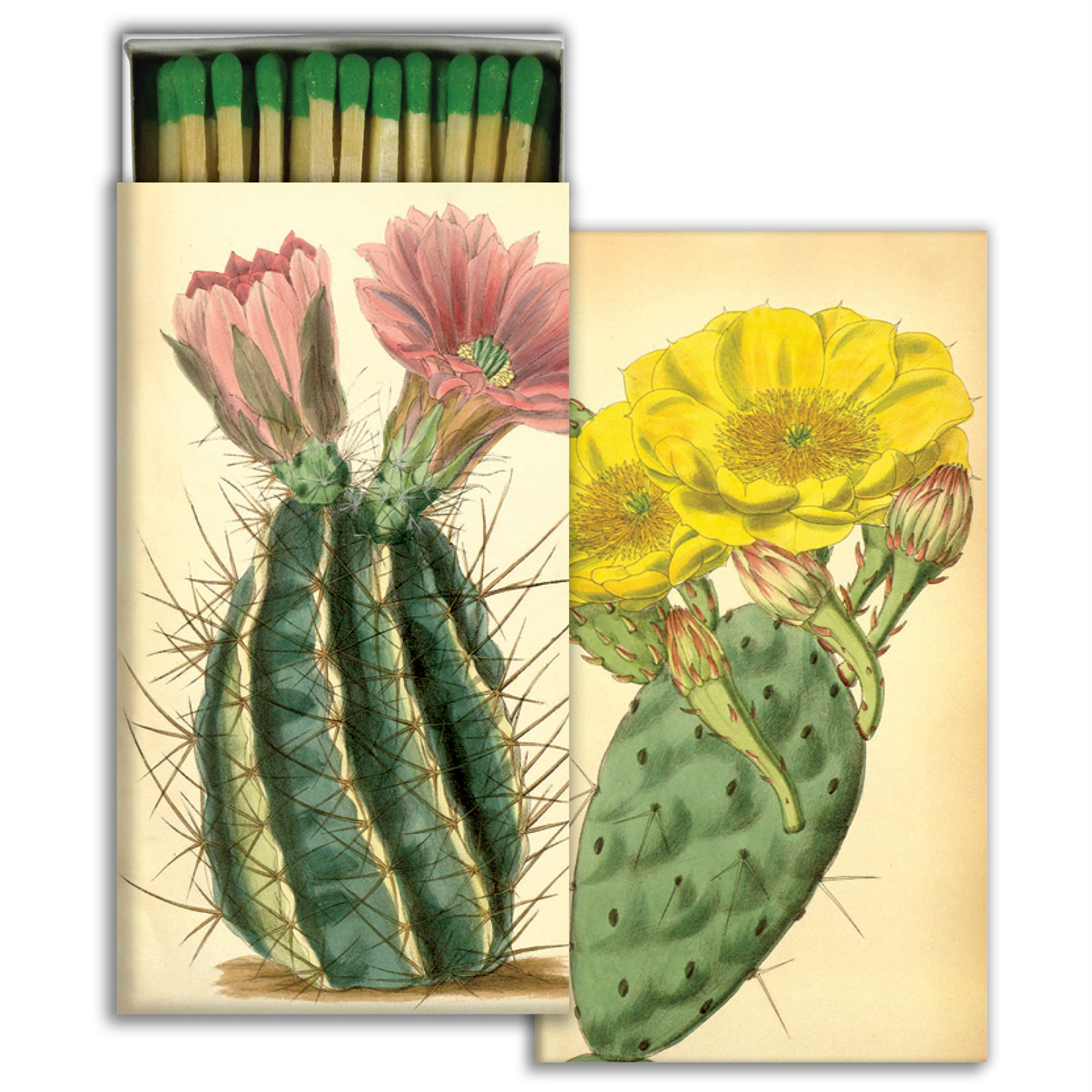 HomArt Matches - Flowering Cacti | Wayfair