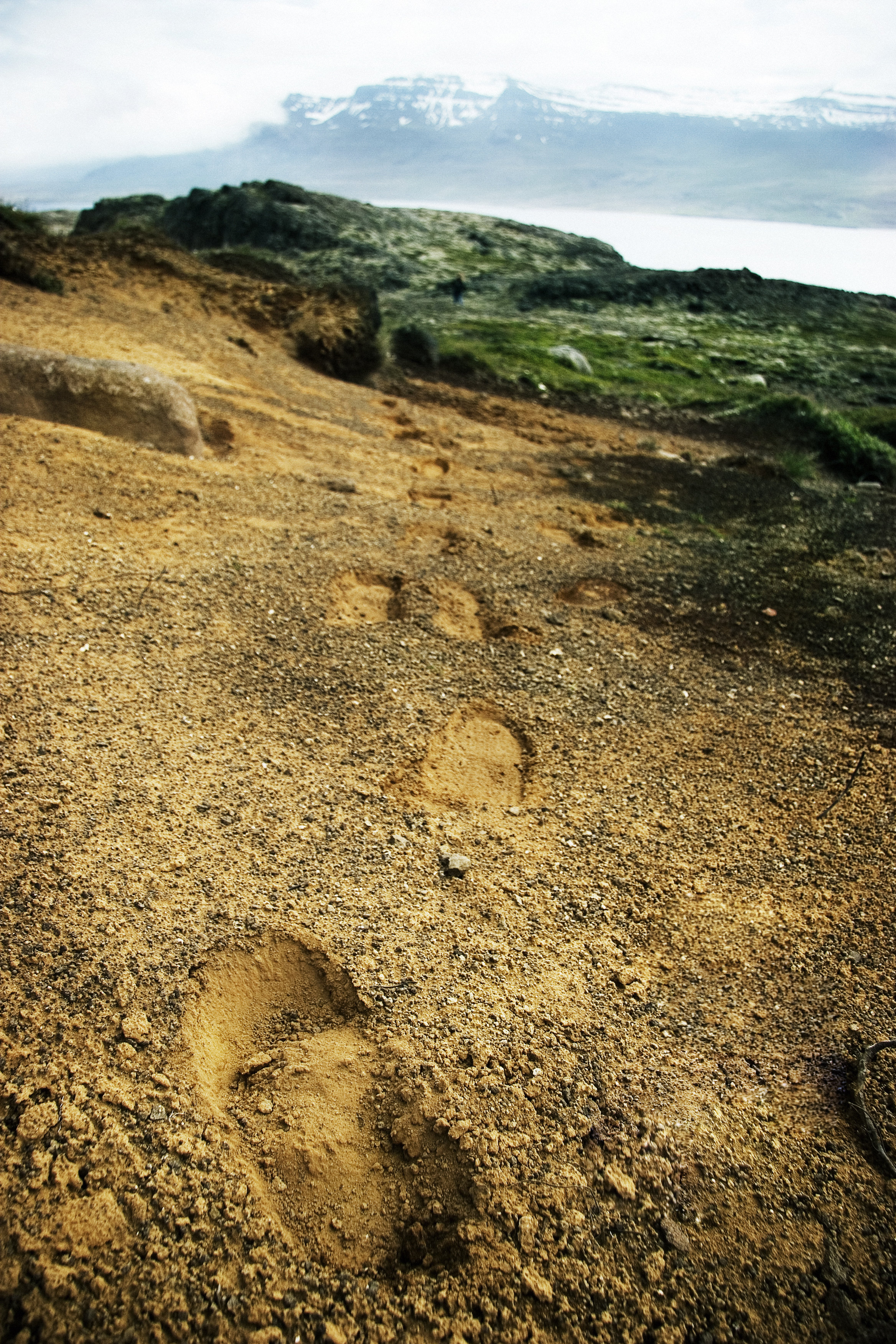 Alpen Home Footprints by Martsss - Wrapped Canvas Photograph | Wayfair ...