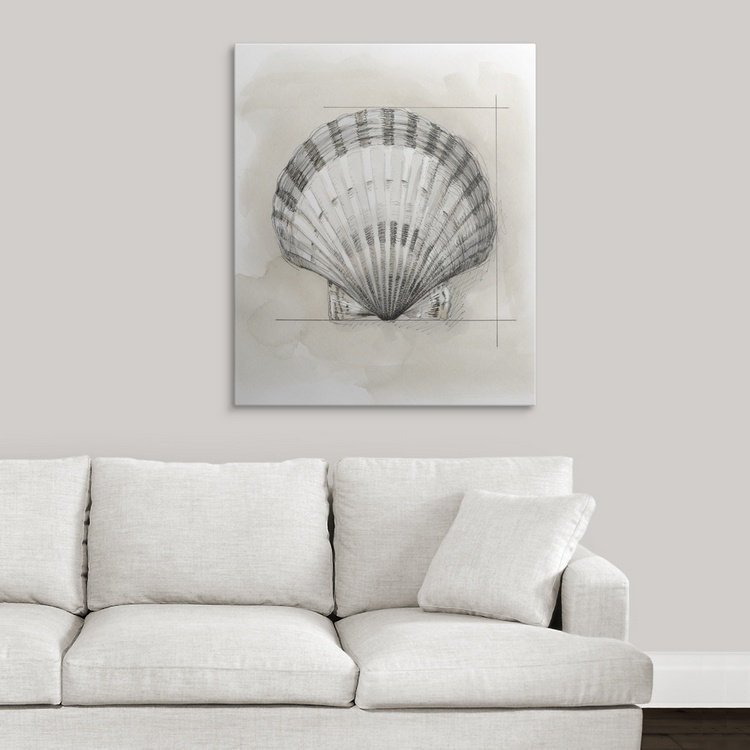 Great Big Canvas 'Shell Schematic III' Megan Meagher Painting Print ...