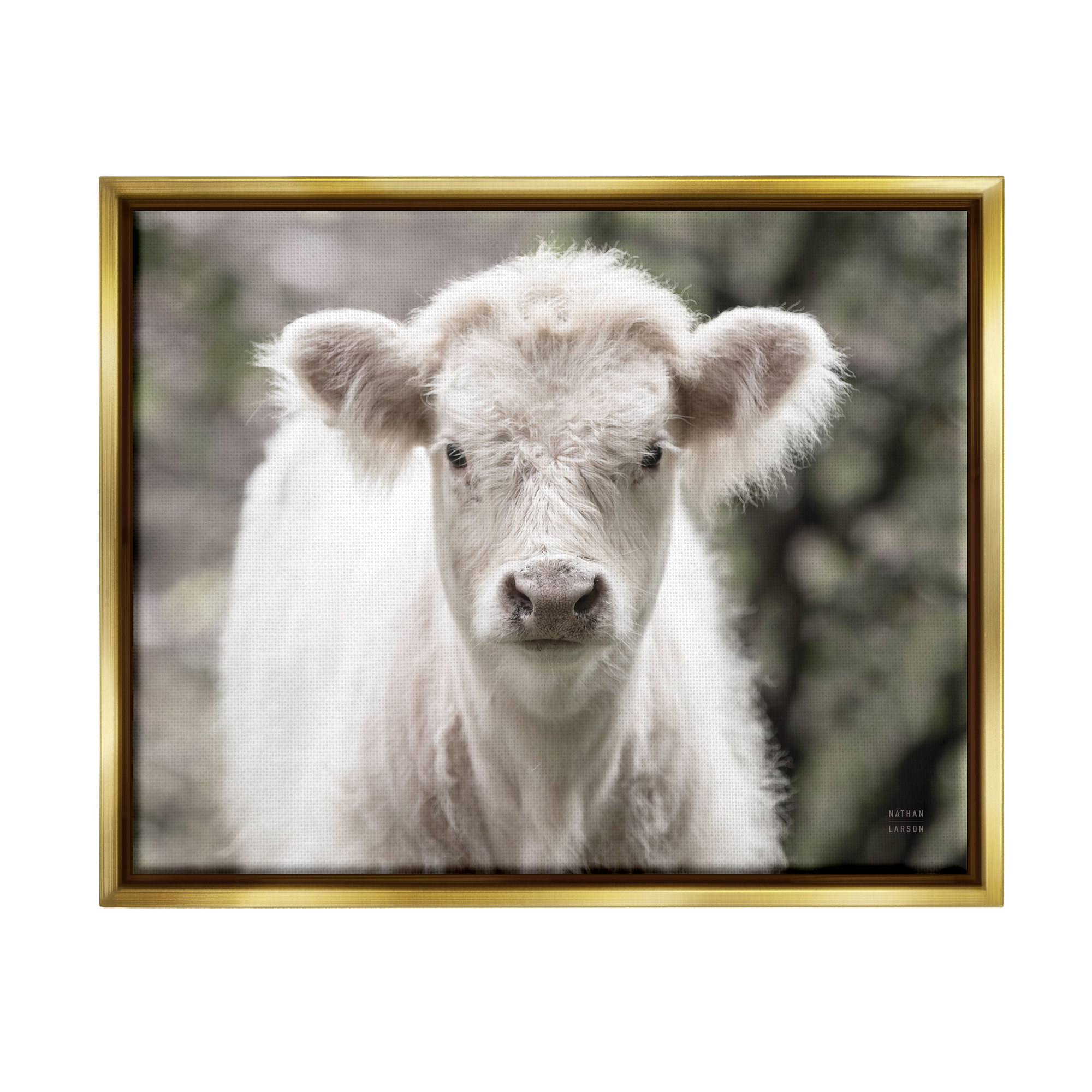 Stupell Industries White Cow Calf Portrait Canvas Wall Art Design by ...