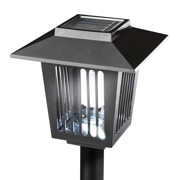 Eternal Solar Powered Integrated LED Outdoor Lantern | Wayfair