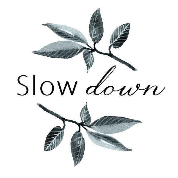 Happy Larry Slow Down Leaves | Wayfair.co.uk