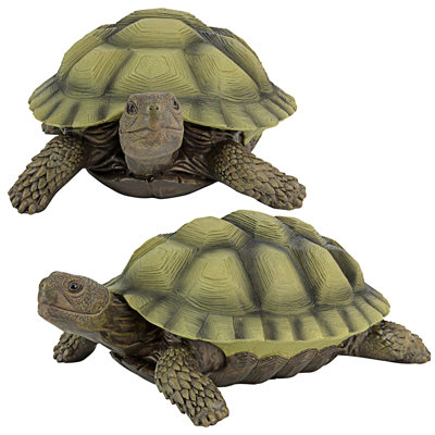 Design Toscano Gilbert, the Box Turtle Statue & Reviews | Wayfair