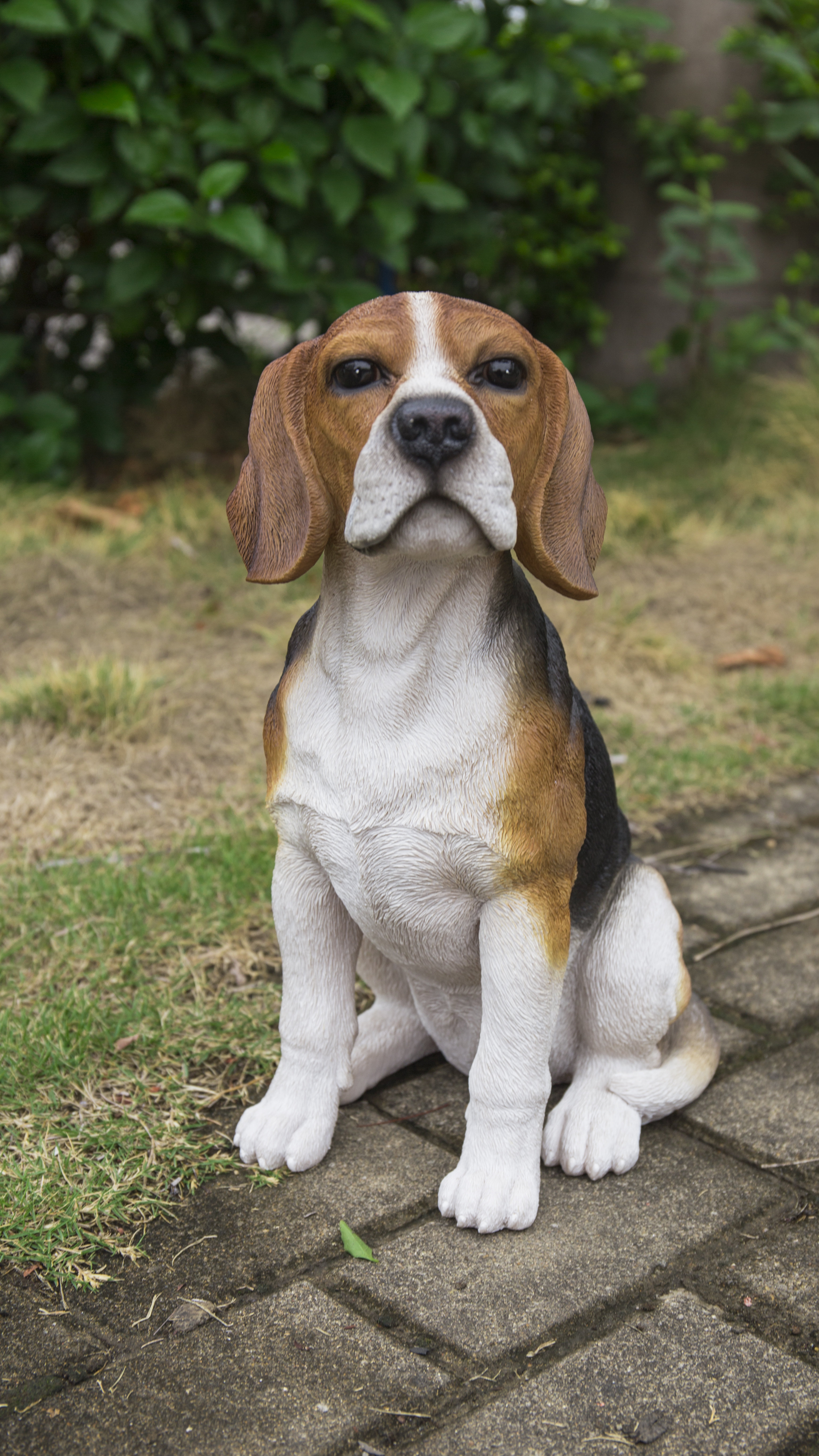 Hi-Line Gift Ltd. Statue Beagle et Commentaires - Wayfair Canada