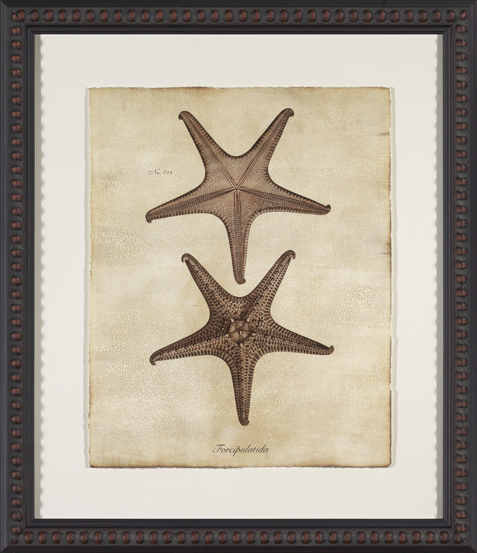 Wendover Art Group Sepia Sea Collection II - Picture Frame Painting on ...