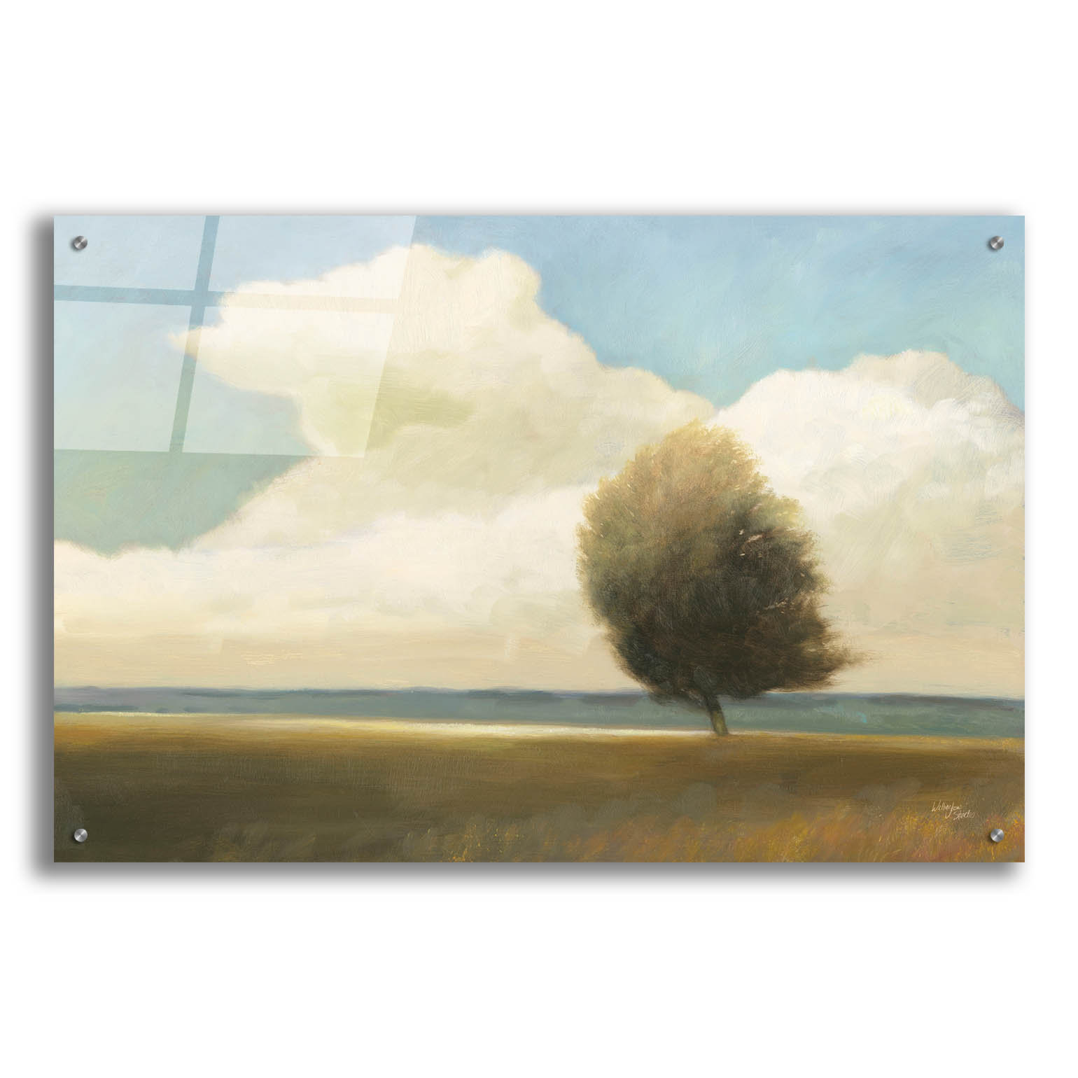 Winston Porter Windblown Tree' By Wellington Studio Acrylic Glass Wall ...