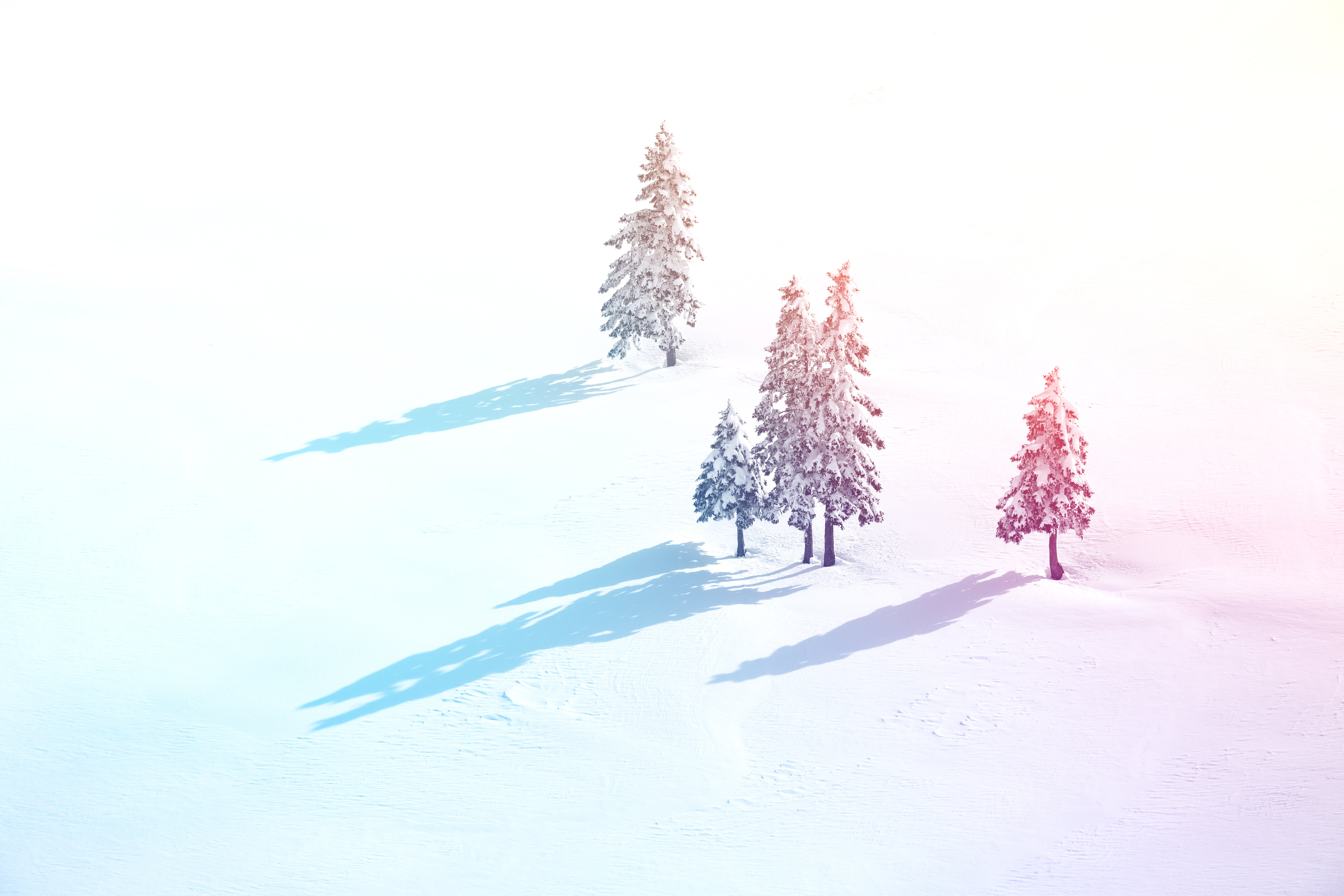 17 Stories Winter Trees by Borchee - No Frame Art Prints on Canvas ...
