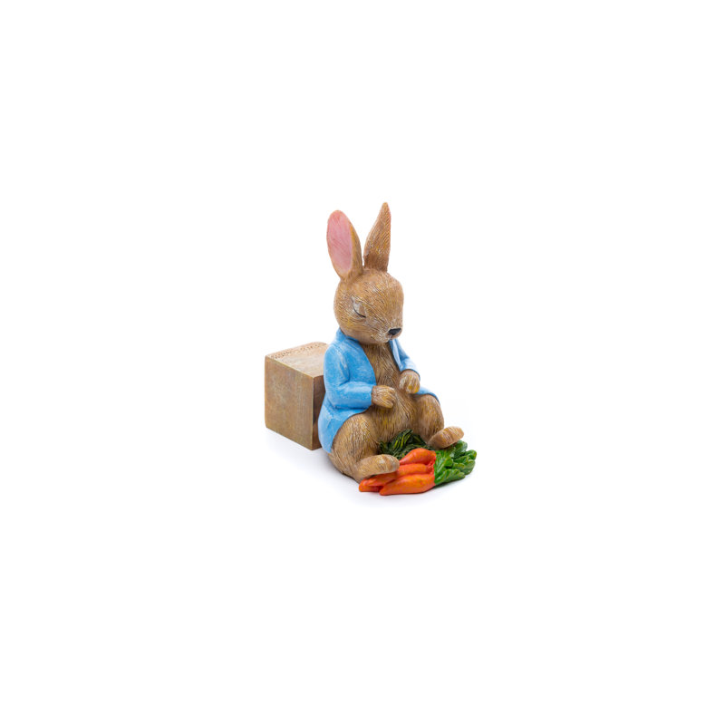 Jardinopia Beatrix Potter Peter Rabbit Coloured Planter Feet In Gift ...