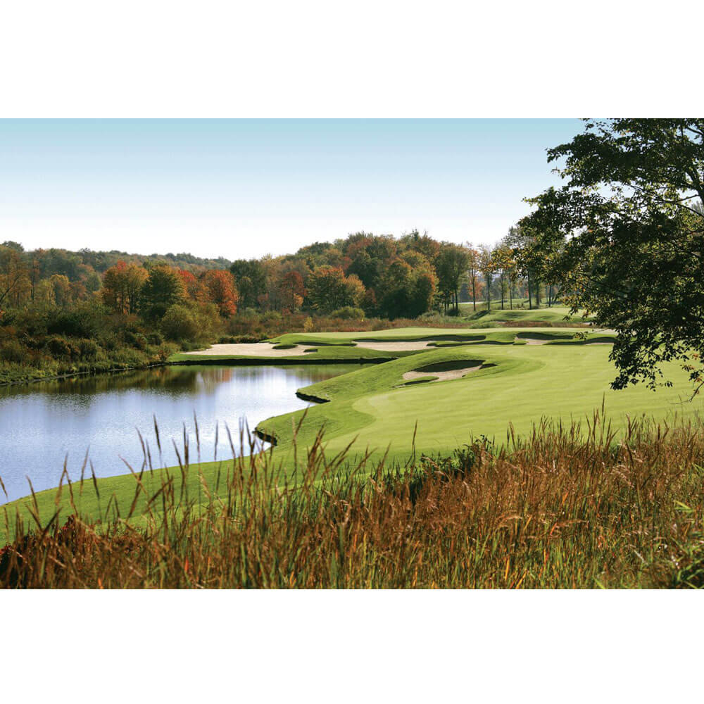 Wallhogs Autumn Golf Glossy Poster | Wayfair