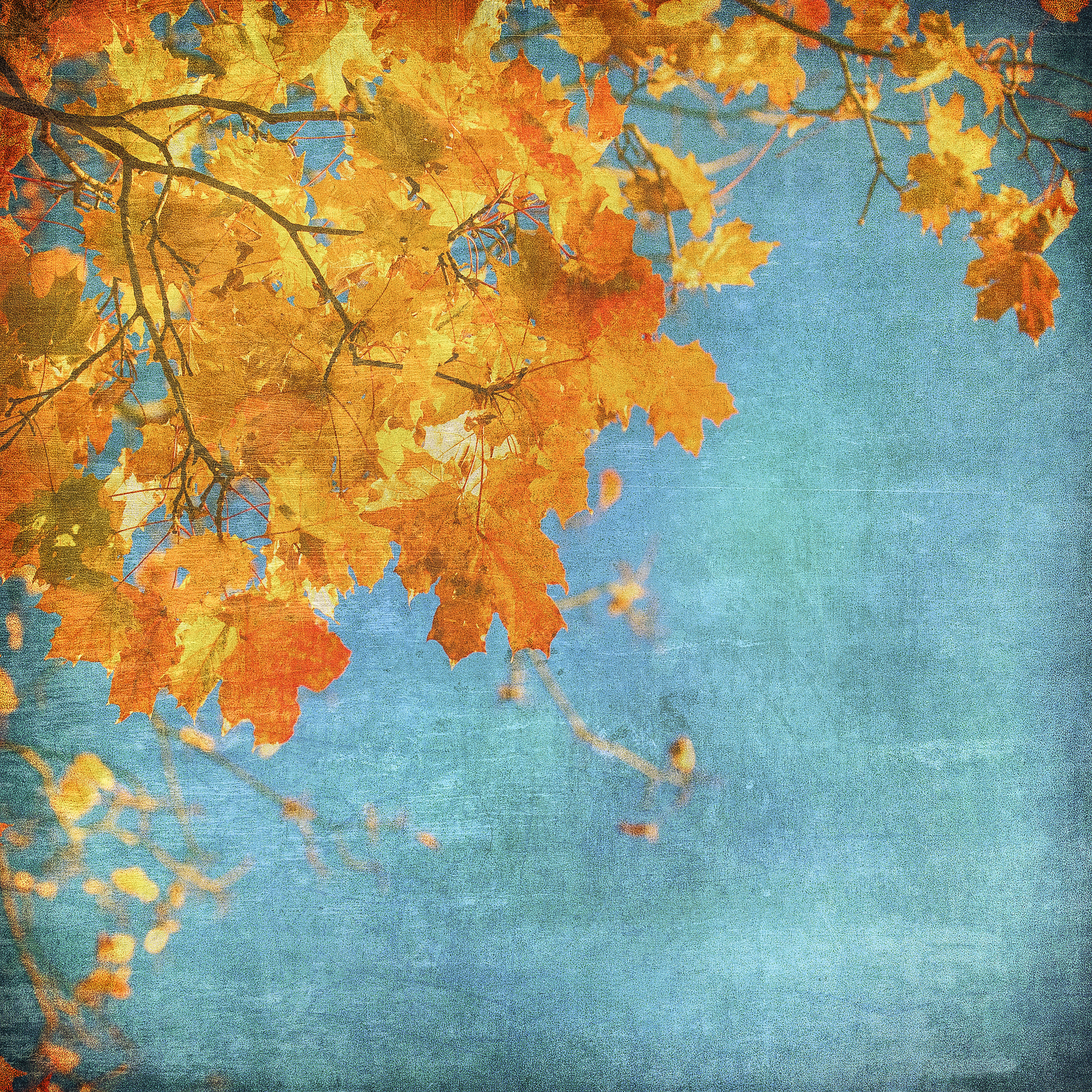 Marlow Home Co. Autumn Leaves - Wrapped Canvas Painting | Wayfair.co.uk