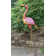 Sol 27 Outdoor Kirsten Flamingo Forward Facing & Reviews | Wayfair.co.uk
