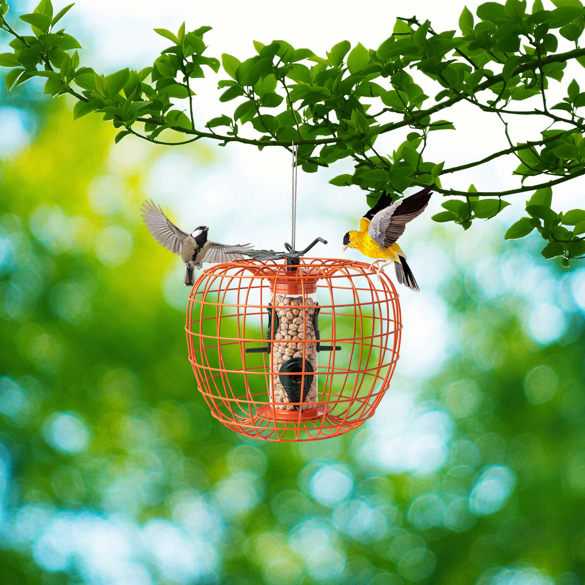 Arlmont & Co. Squirrel-proof Pumpkin Bird Feeder With Cage 4 Metal ...