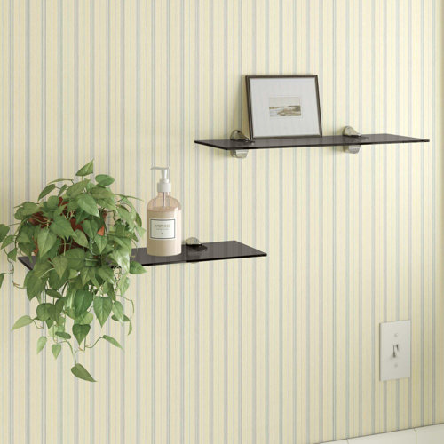 Wayfair | Glass Shelves
