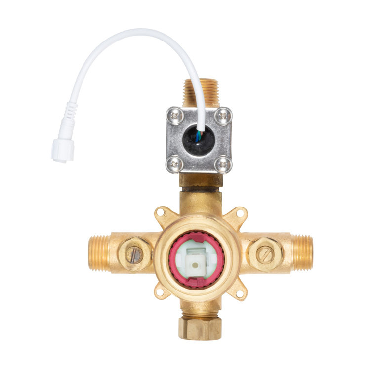 Pulse Shower Spas Shower Valve - Wayfair Canada