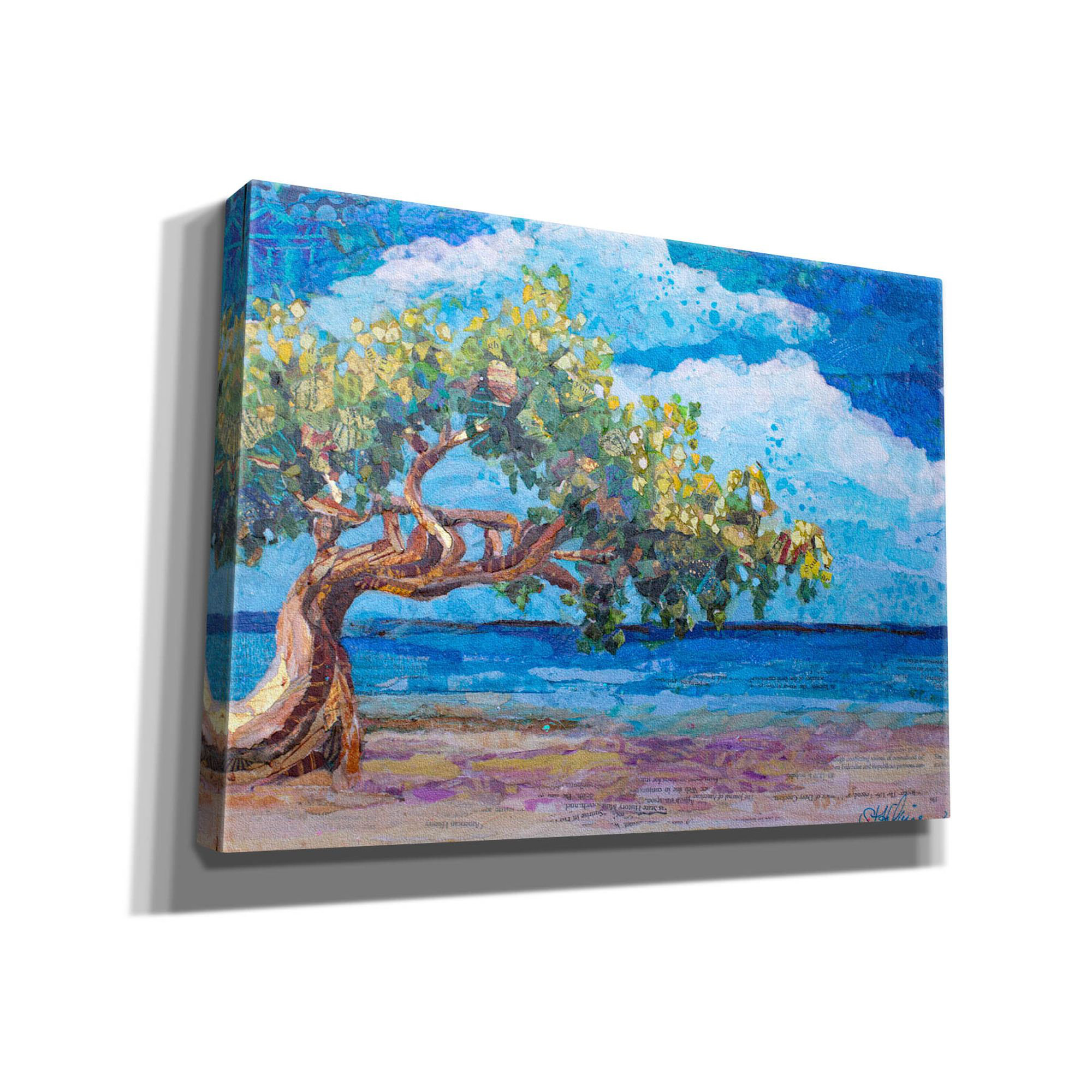 Dovecove Brina Divi Divi Tree On Canvas by St. Hilaire Elizabeth Print ...