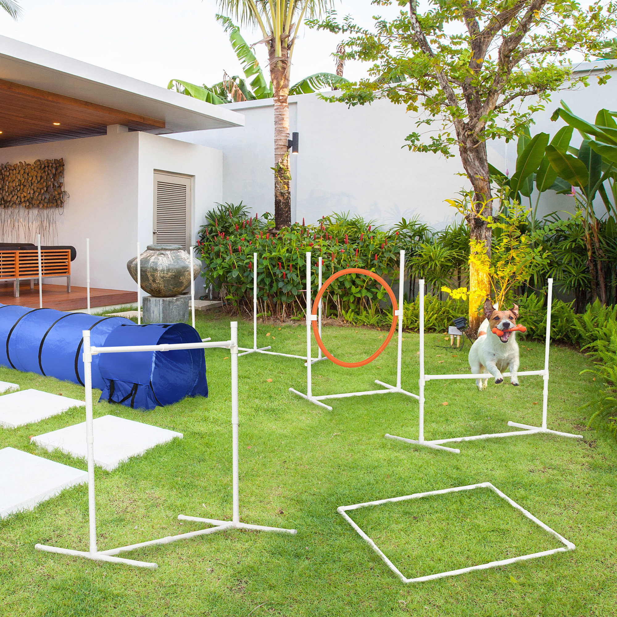 Pawhut 5 Piece Portable Dog Agility Set - Wayfair Canada