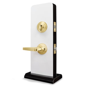 Premier Lock Complete Entry Lever Set with Single Cylinder Deadbolt ...