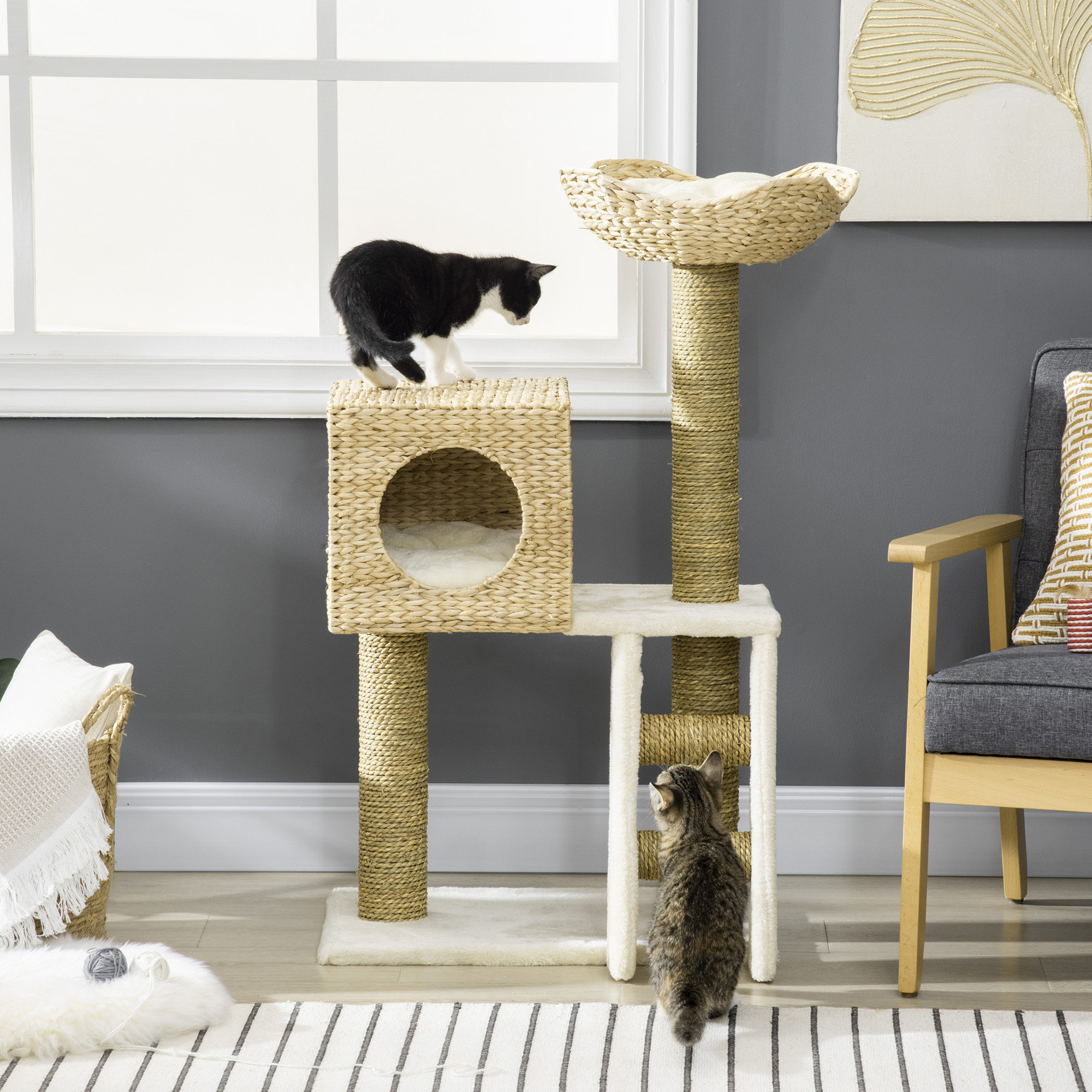 Archie & Oscar™ Indoor Cat Tree And Condo With Cushions & Reviews | Wayfair