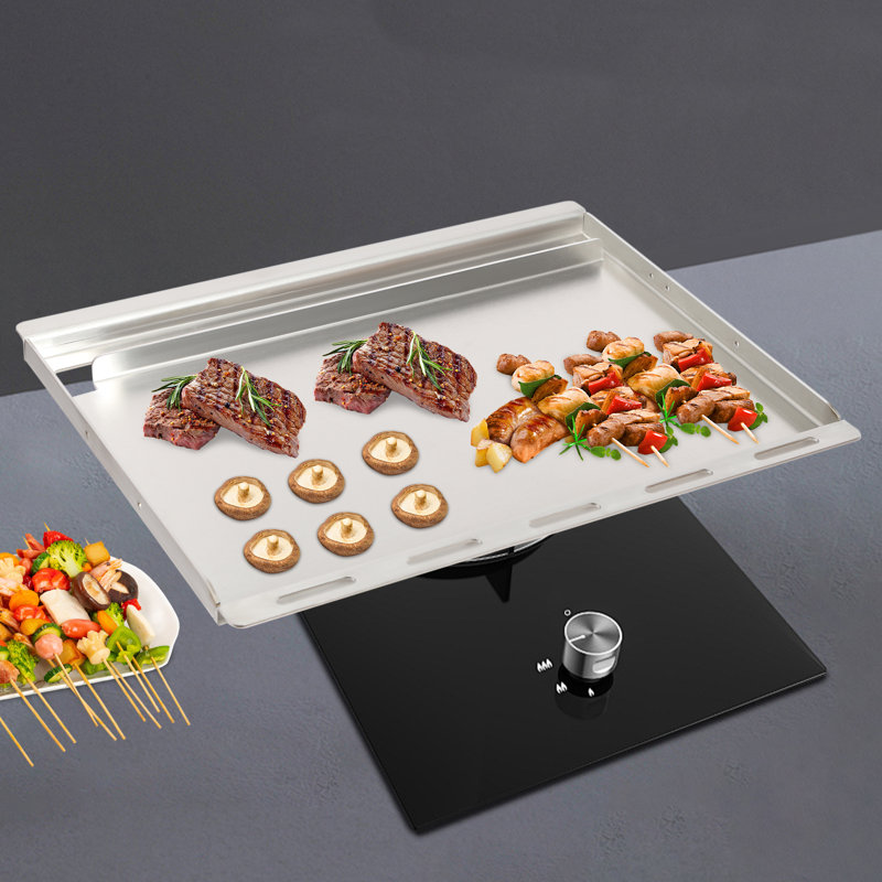 SUNYOU Stainless Steel Grill Plate & Reviews | Wayfair