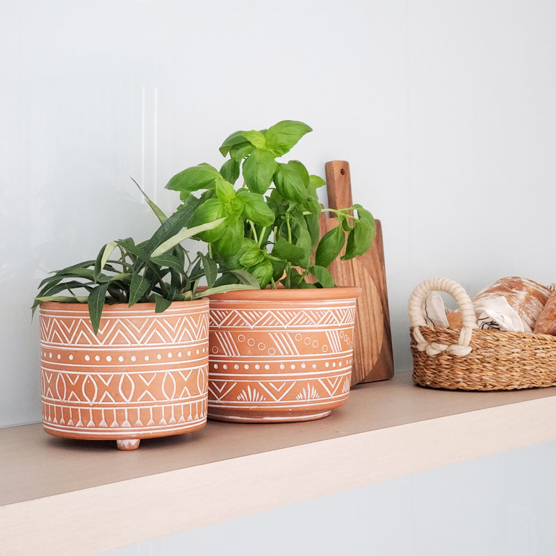 Dakota Fields Hand Etched Terracotta Pot Planter & Reviews | Wayfair