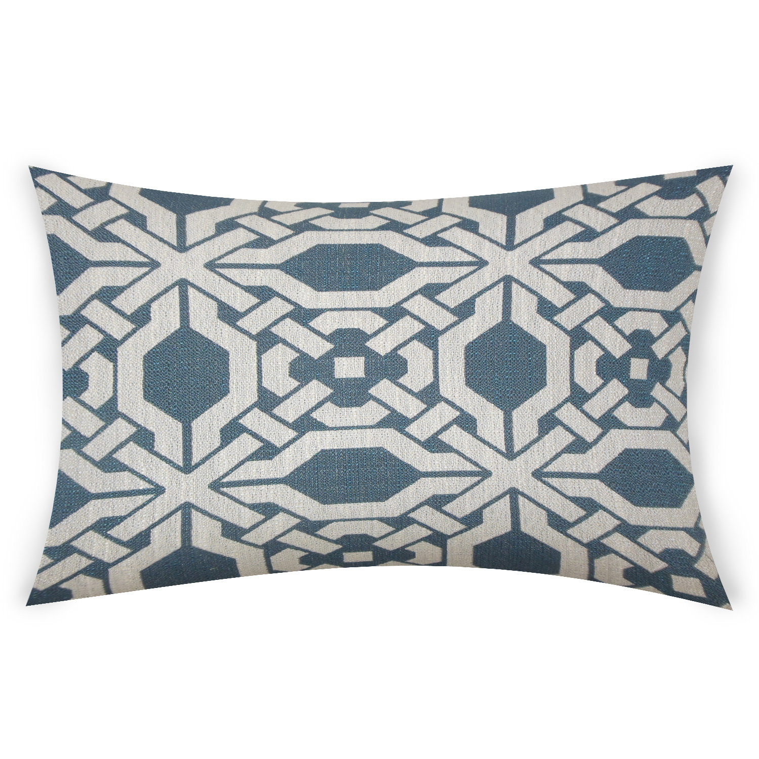 The Pillow Collection David Lumbar Pillow | Wayfair