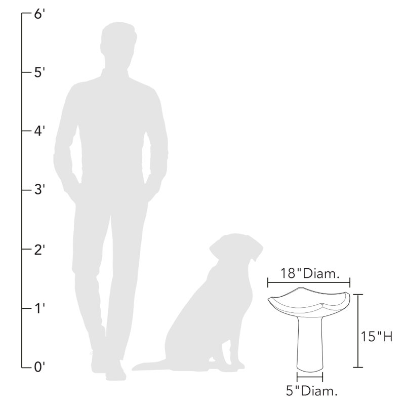 Latitude Run® Alinuswe Birdbath & Reviews | Wayfair