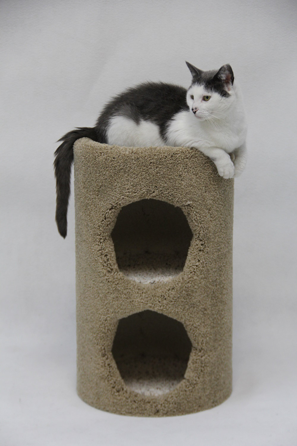 Tucker Murphy Pet™ Isabelle 21" Two Story Cat Condo & Reviews | Wayfair