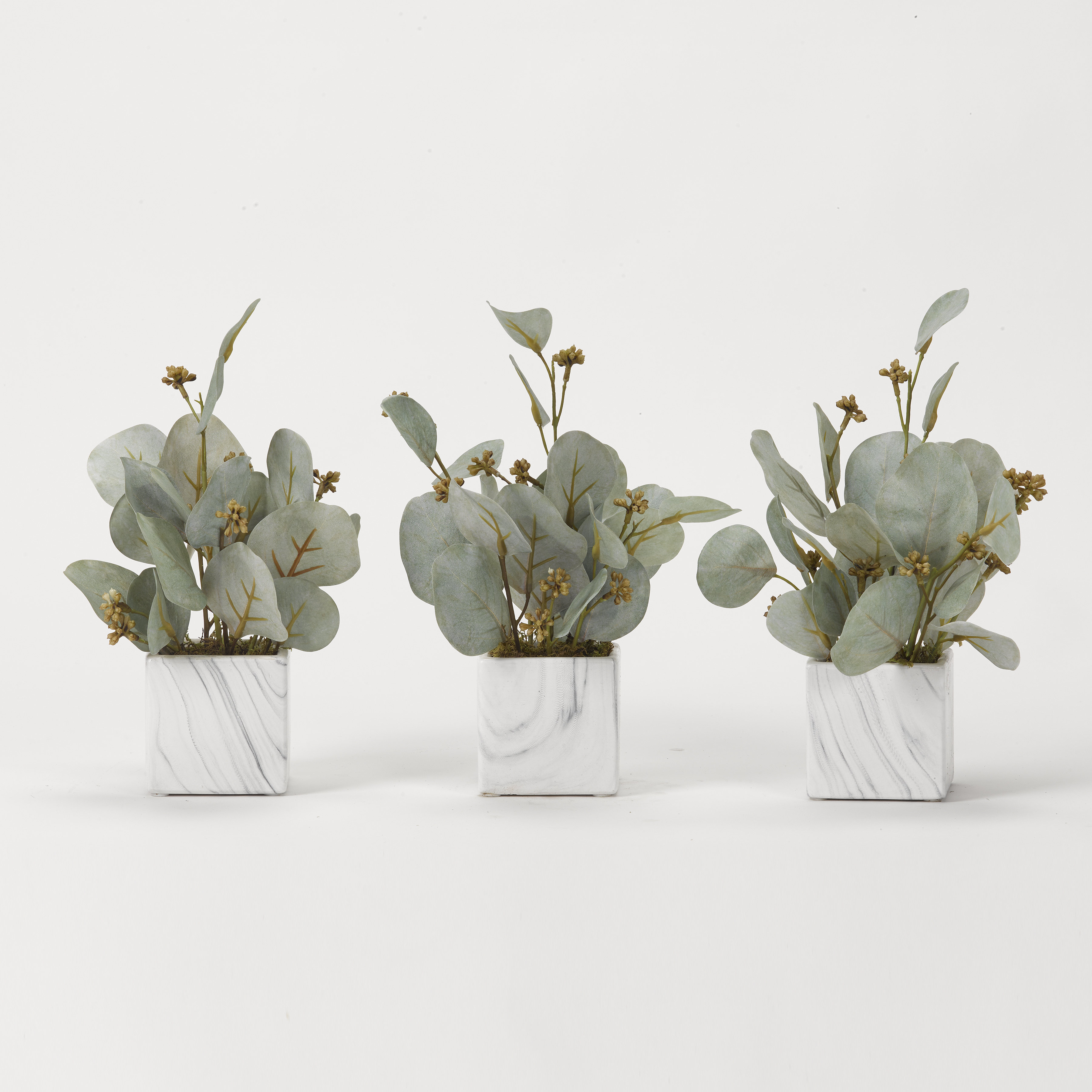 Gracie Oaks Seeded Eucalyptus Succulent in Decorative Vase | Wayfair