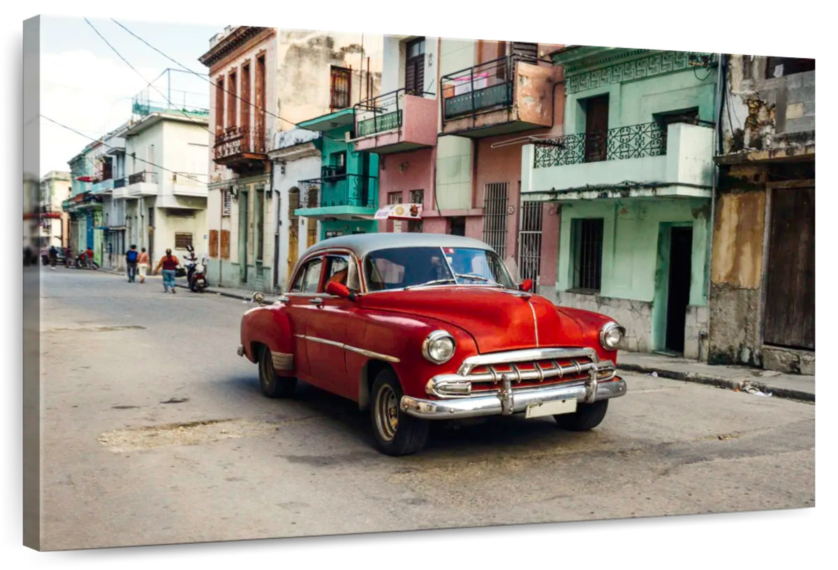 Elephant Stock Red Havana Car | Wayfair